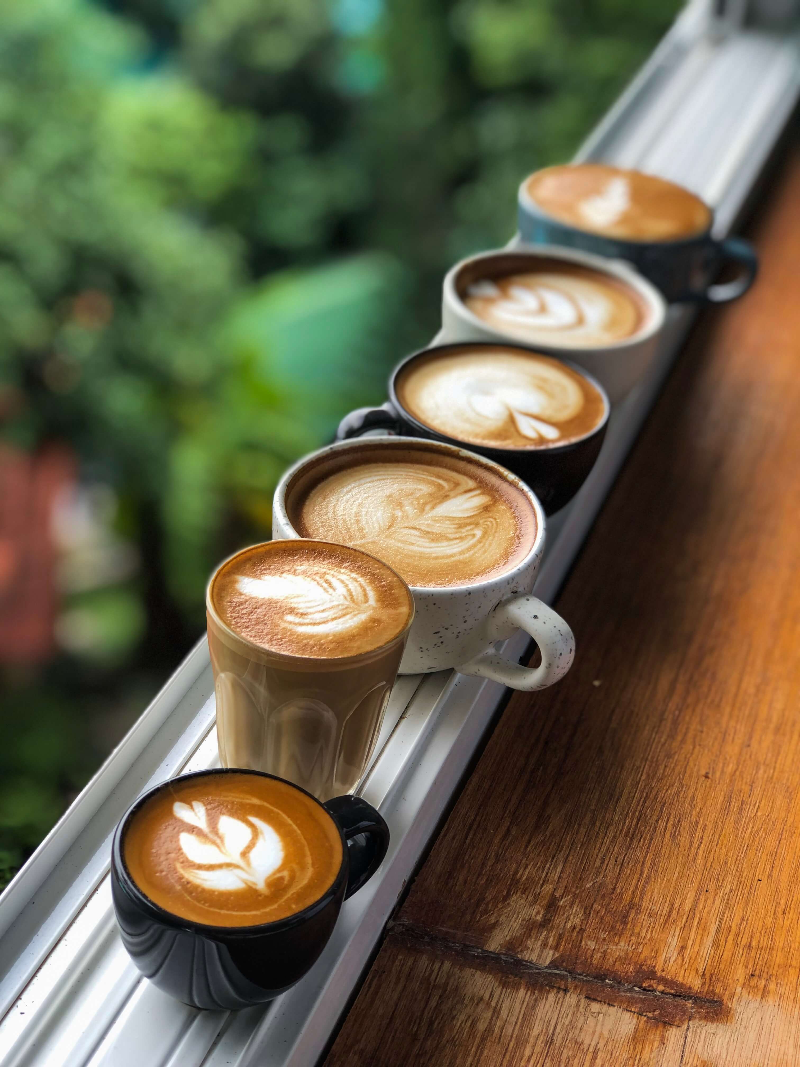 What's Cup KOH PHA NGAN.